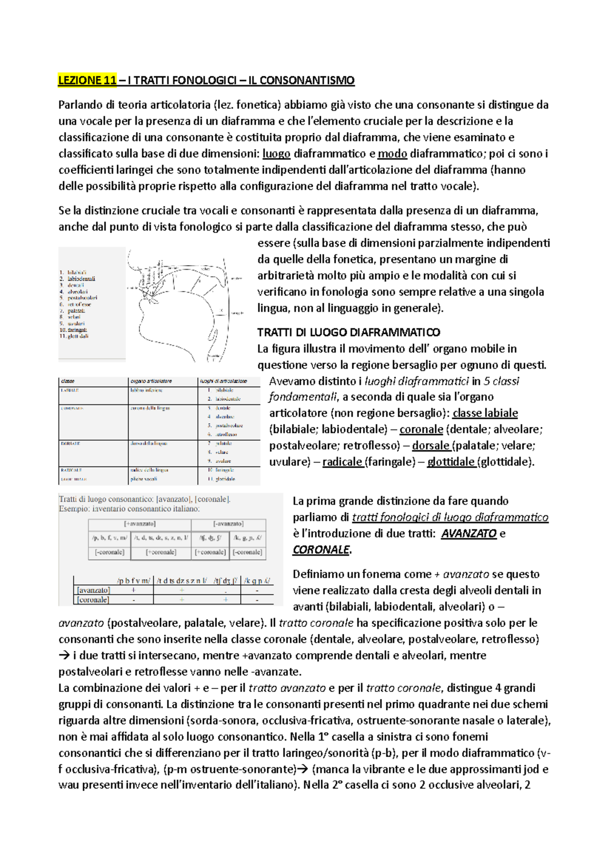 Linguistica Generale - Lezione 11 - LEZIONE 11 – I TRATTI FONOLOGICI – IL CONSONANTISMO Parlando ...