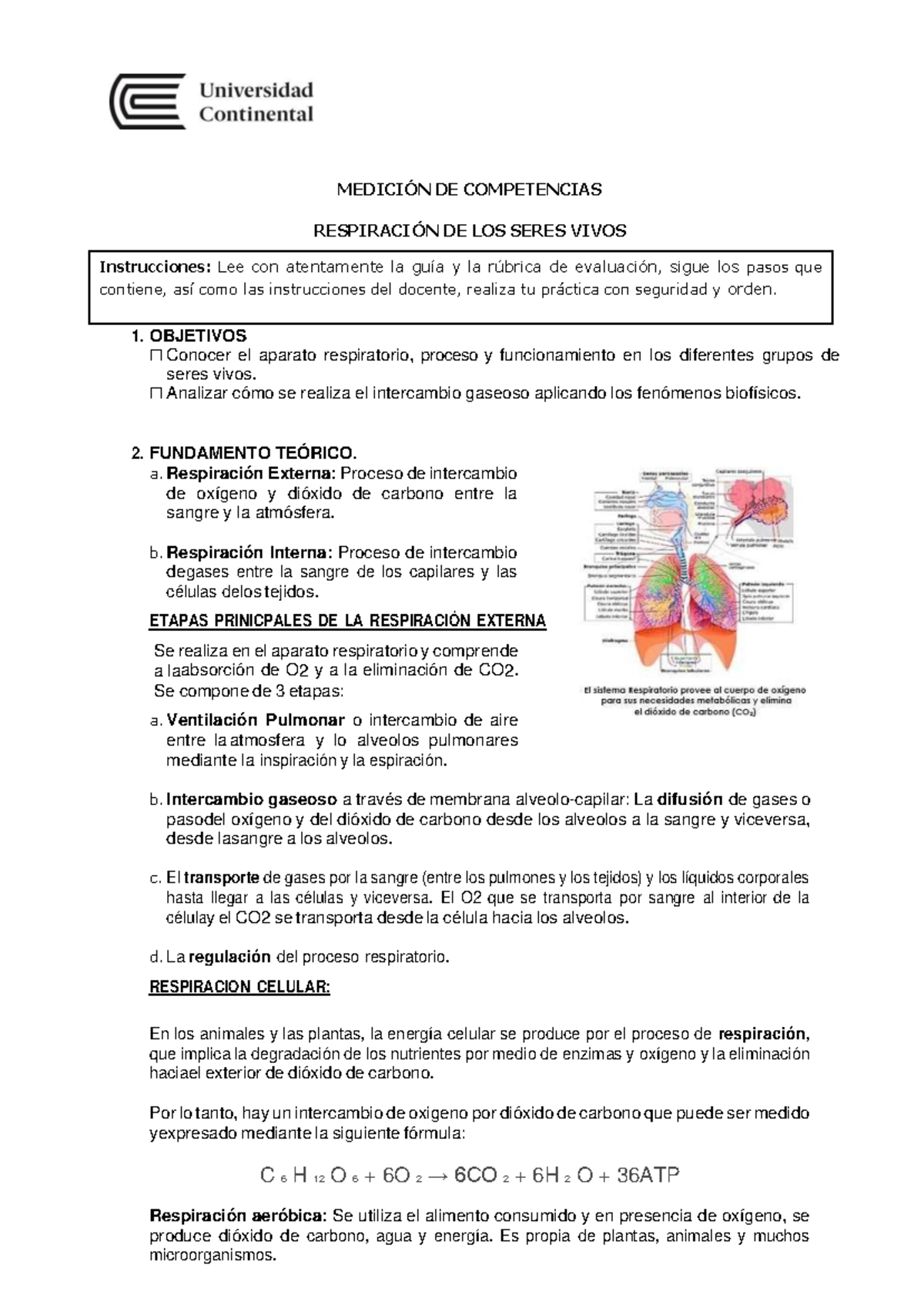 Consigna DE Medición DE Competencias - MEDICIÓN DE COMPETENCIAS RESPIRACIÓN DE LOS SERES VIVOS 1 ...