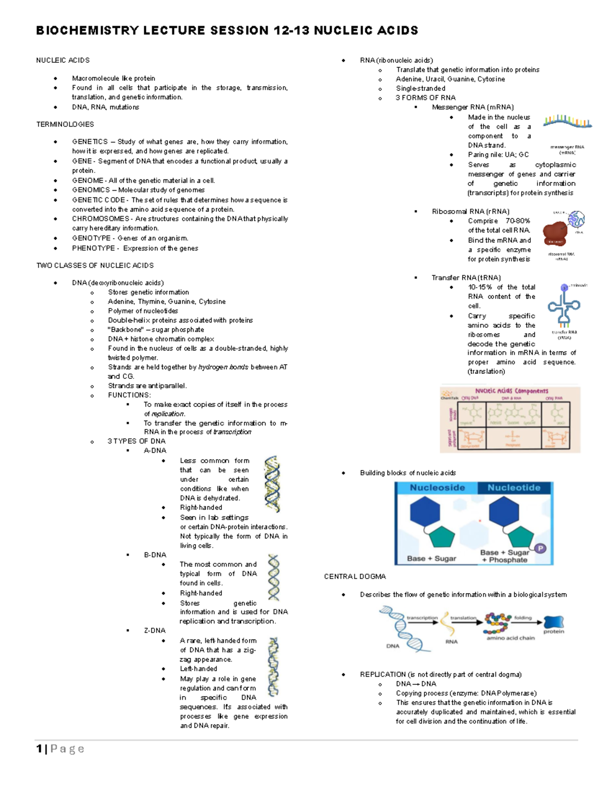 Nucleic ACID 12 14 - BIOCHEMISTRY LECTURE SESSION 12-13 NUCLEIC ACIDS 1 ...