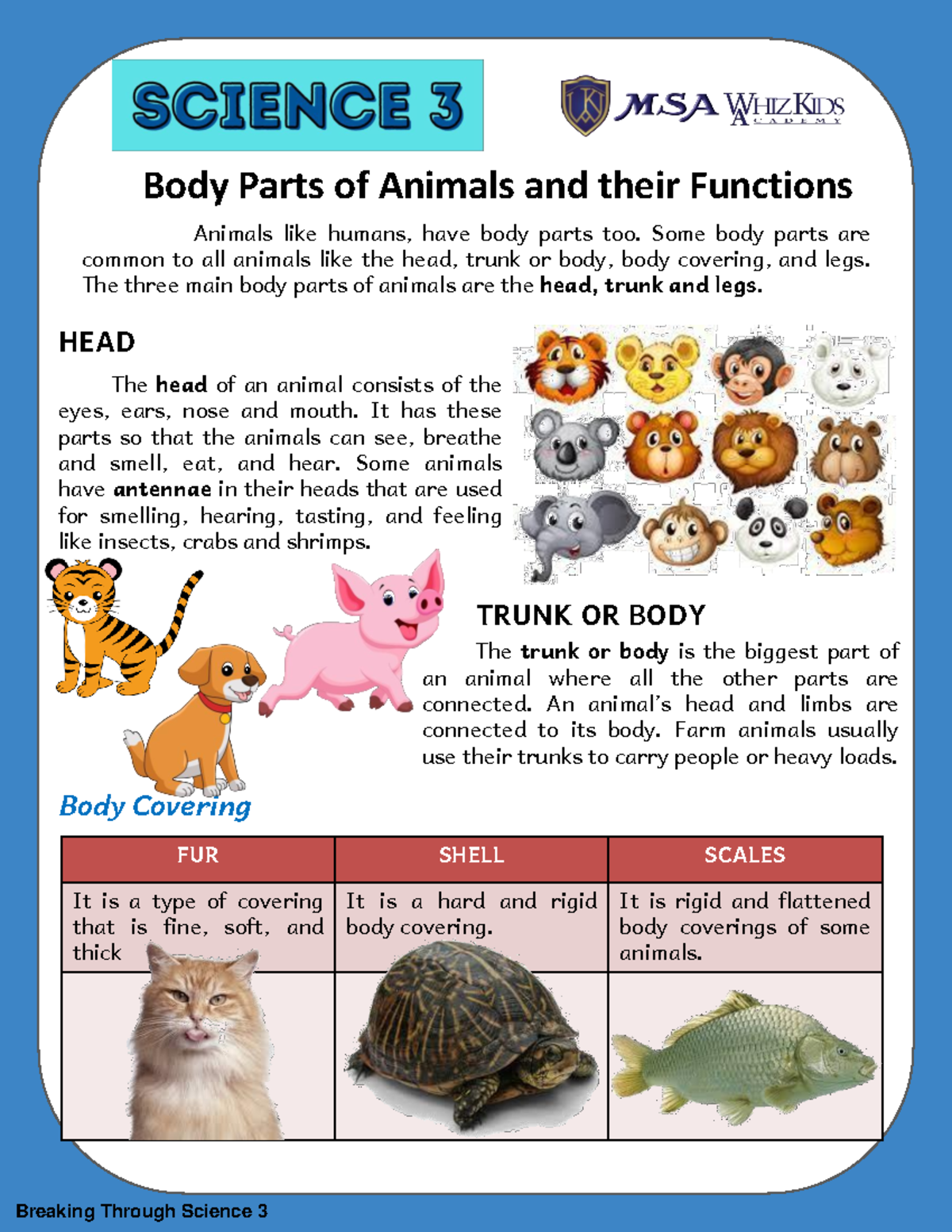 G3 Science Lecture Note Body Parts and their Functions - Body Parts of ...