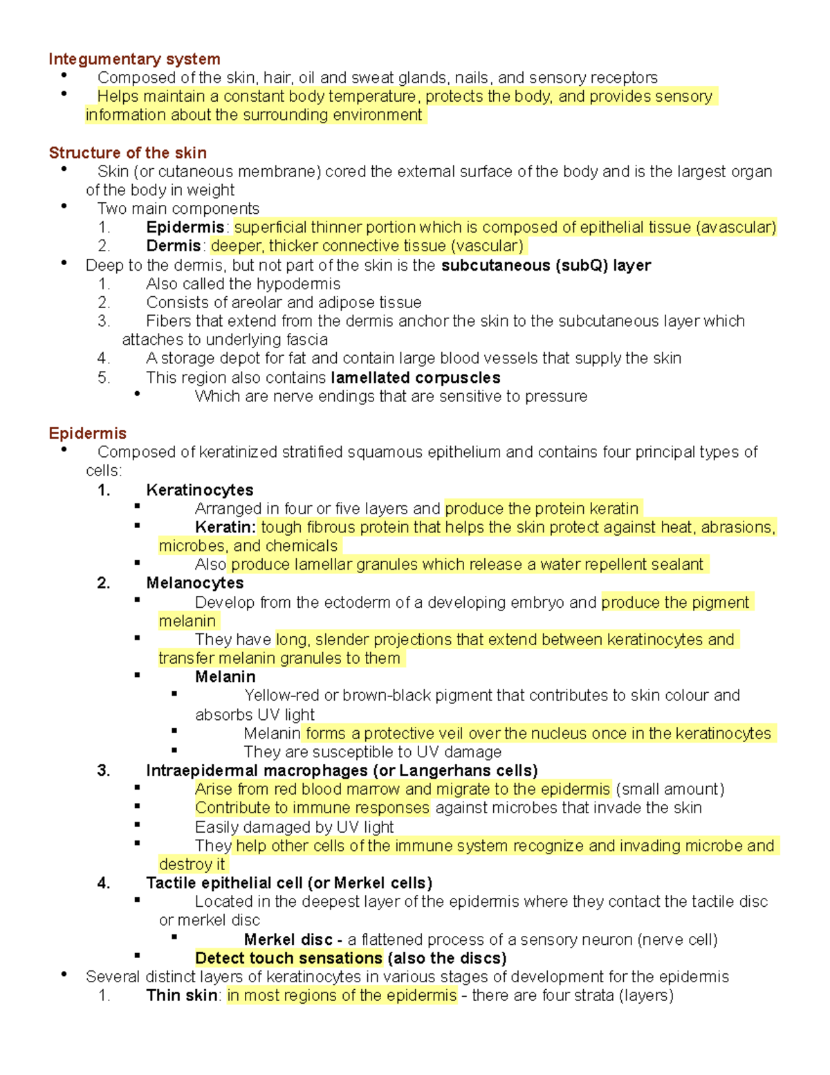 Chapter 5 Notes - Integumentary system Composed of the skin, hair, oil ...