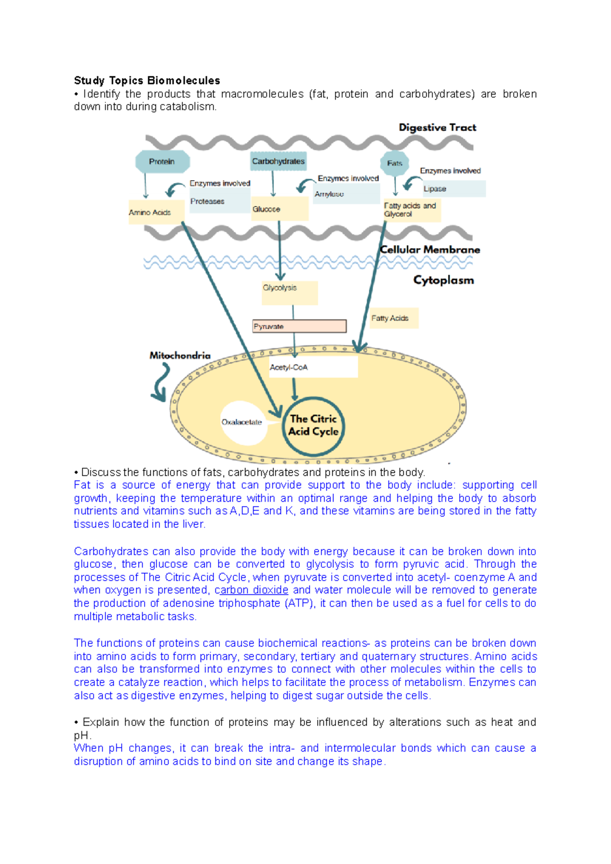 Study Topics Biomolecules - Study Topics Biomolecules Identify the ...
