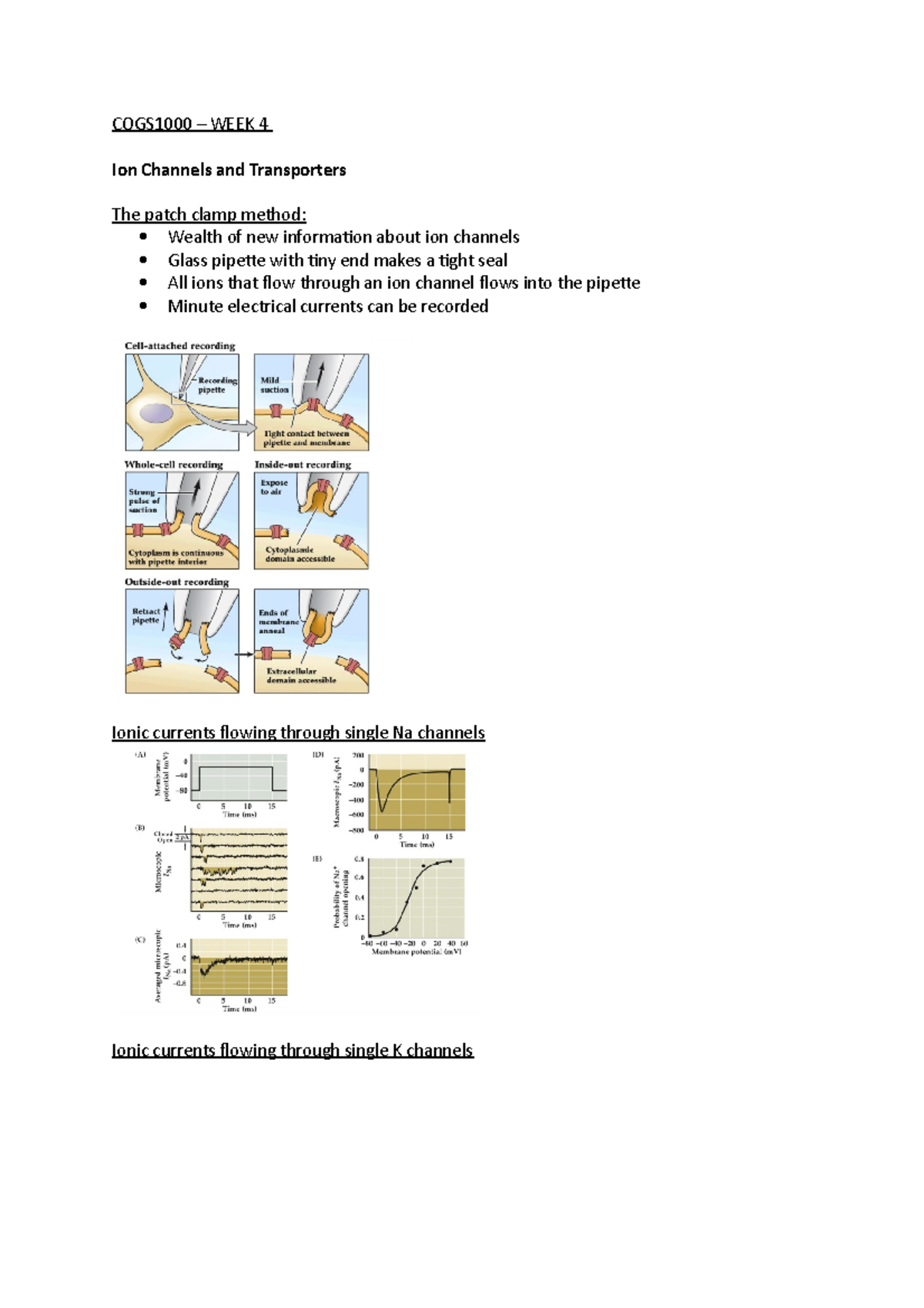 Week 4 COGS - lecture notes - COGS1000 – WEEK 4 Ion Channels and ...