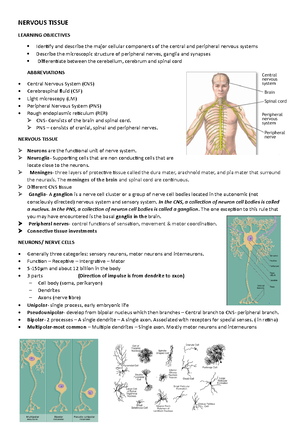 Histology-Lecture-notes - HISTOLOGY LECTURES Week 1 lectures ...