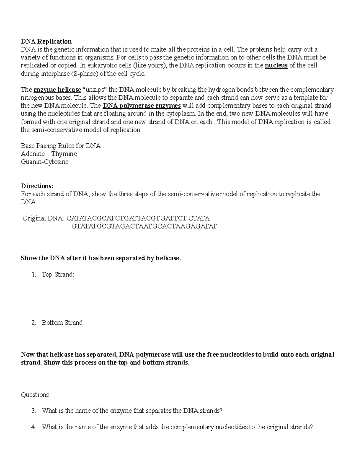 DNA Replication Practice - DNA Replication DNA is the genetic ...