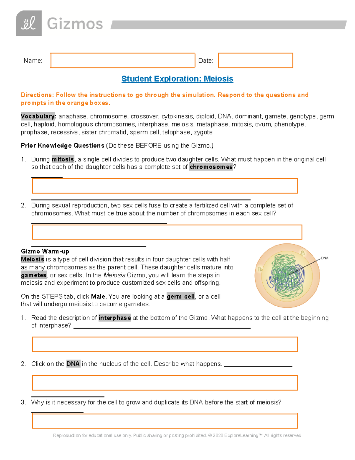 Copy of Meiosis Gizmos - i dont know tbh - Name: Date: Student ...