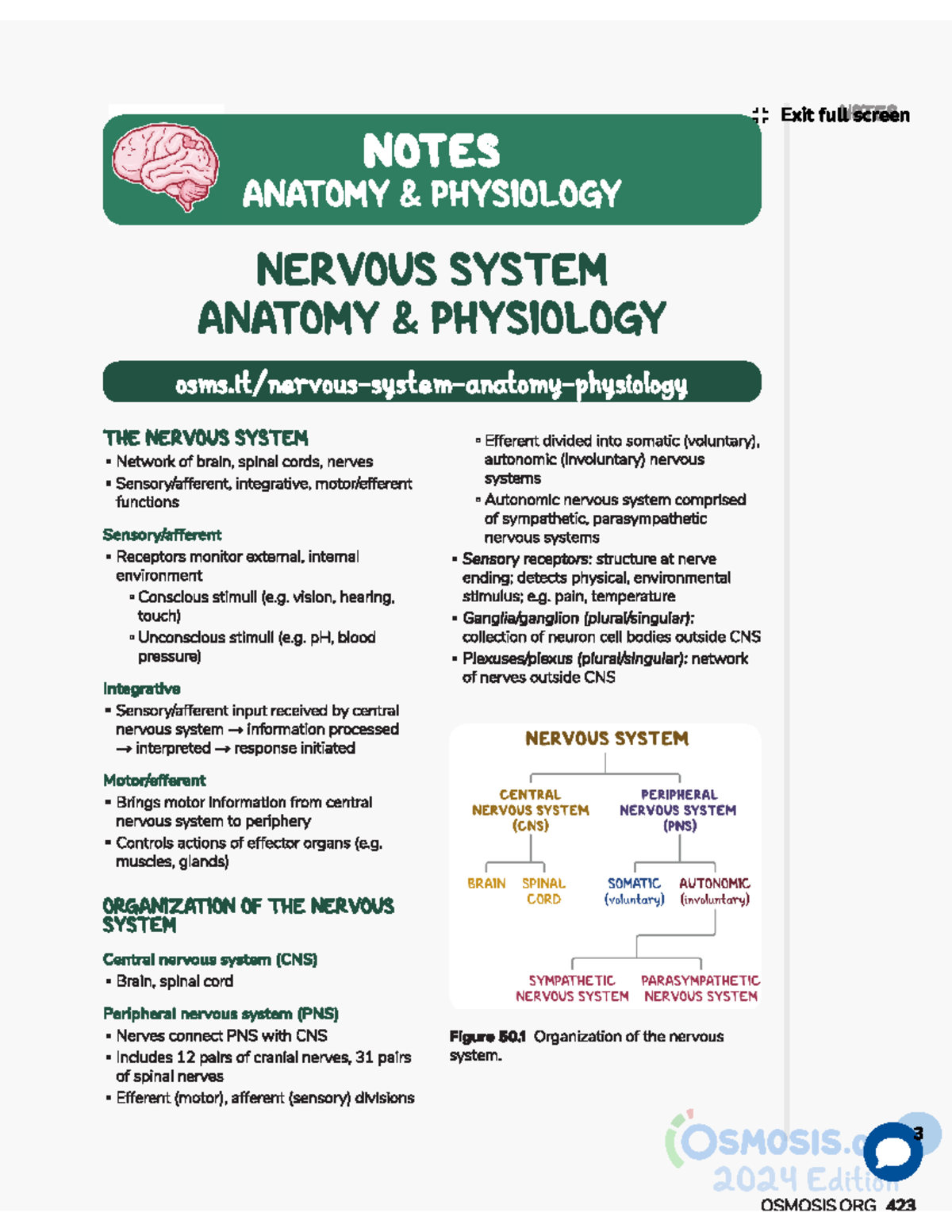 Anatomy and Physiology of the Nervous System Notes Diagrams ...