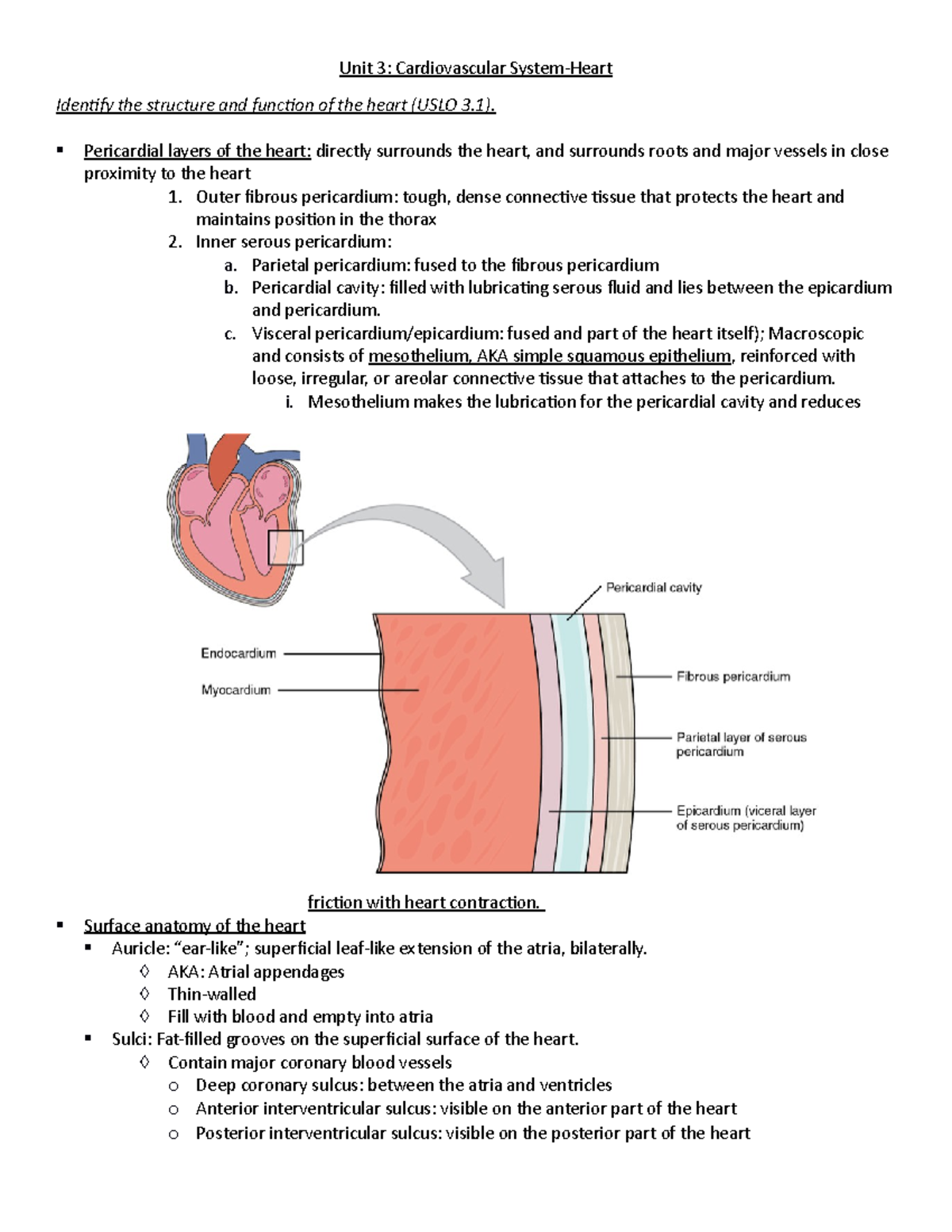 Unit 3 Heart Guided Notes - Unit 3: Cardiovascular System-Heart ...
