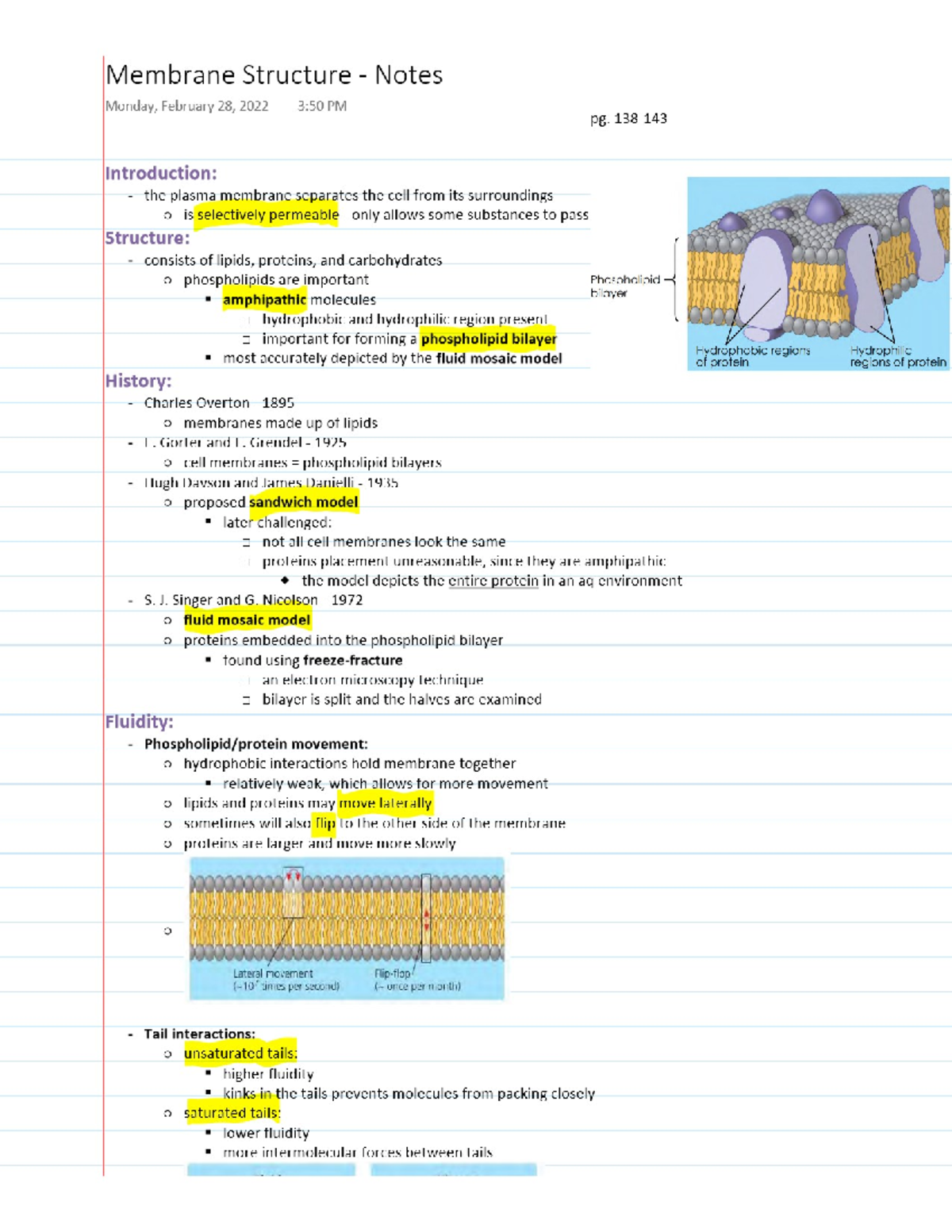 Membrane Structure - Notes - Bio152 - Studocu
