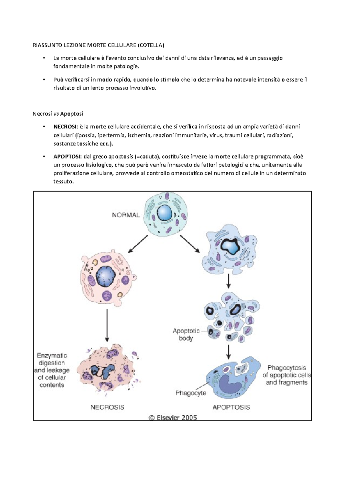 Riassunto Lezione Morte Cellulare - Biotecnologie mediche - UPO - Studocu