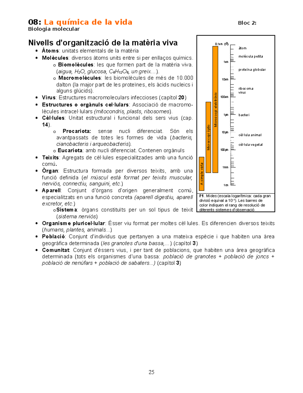 La química de la vida (bioquimica) - 08: La química de la vida Bloc 2 ...