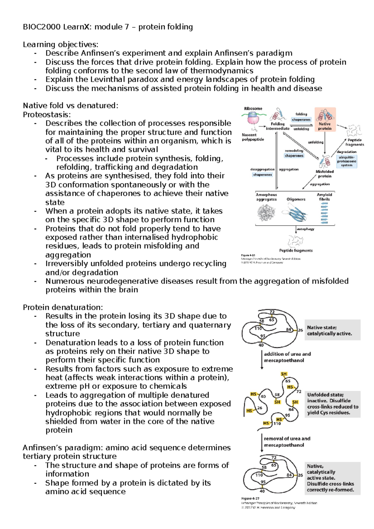 BIOC2000 Learn X - module 7 - BIOC2000 LearnX: module 7 – protein ...