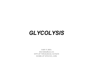 MOOT Court CASE Brief Hadassah Chisenga and Emmauel UNZA year 3 ...