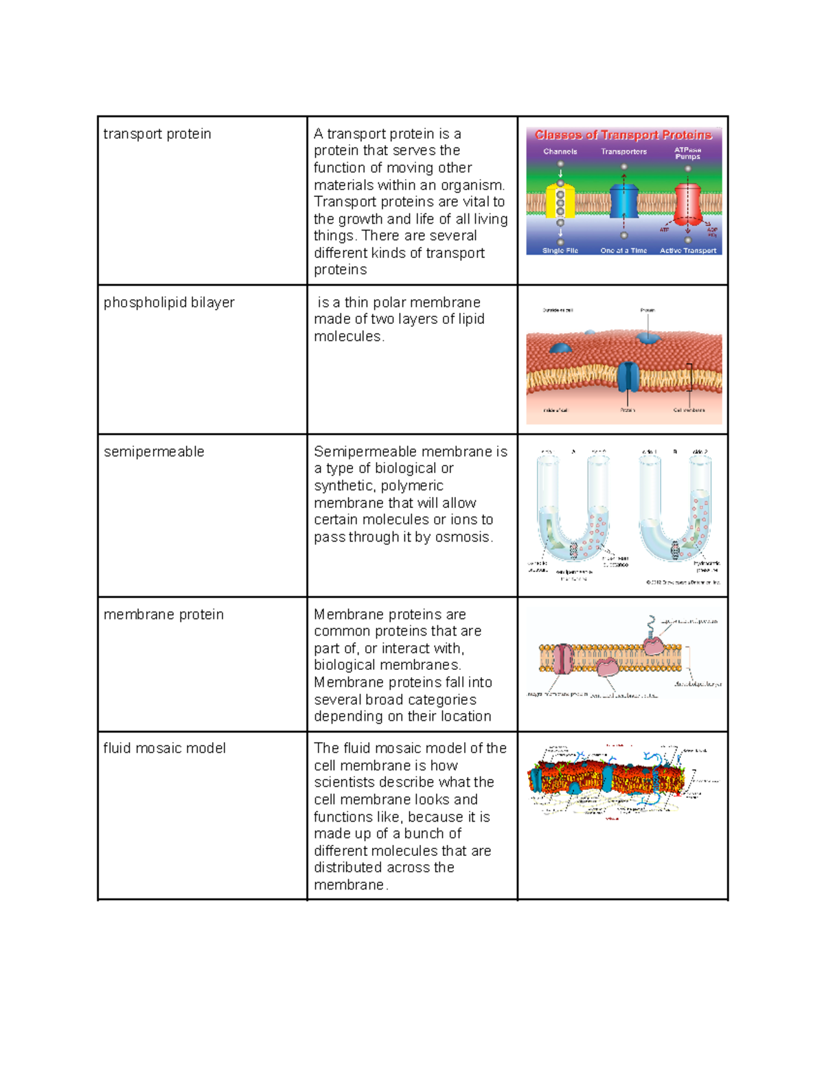 Bio Vocabulary Unit 5 Upload for jeff edwards 3 row chart end of unit 3 ...
