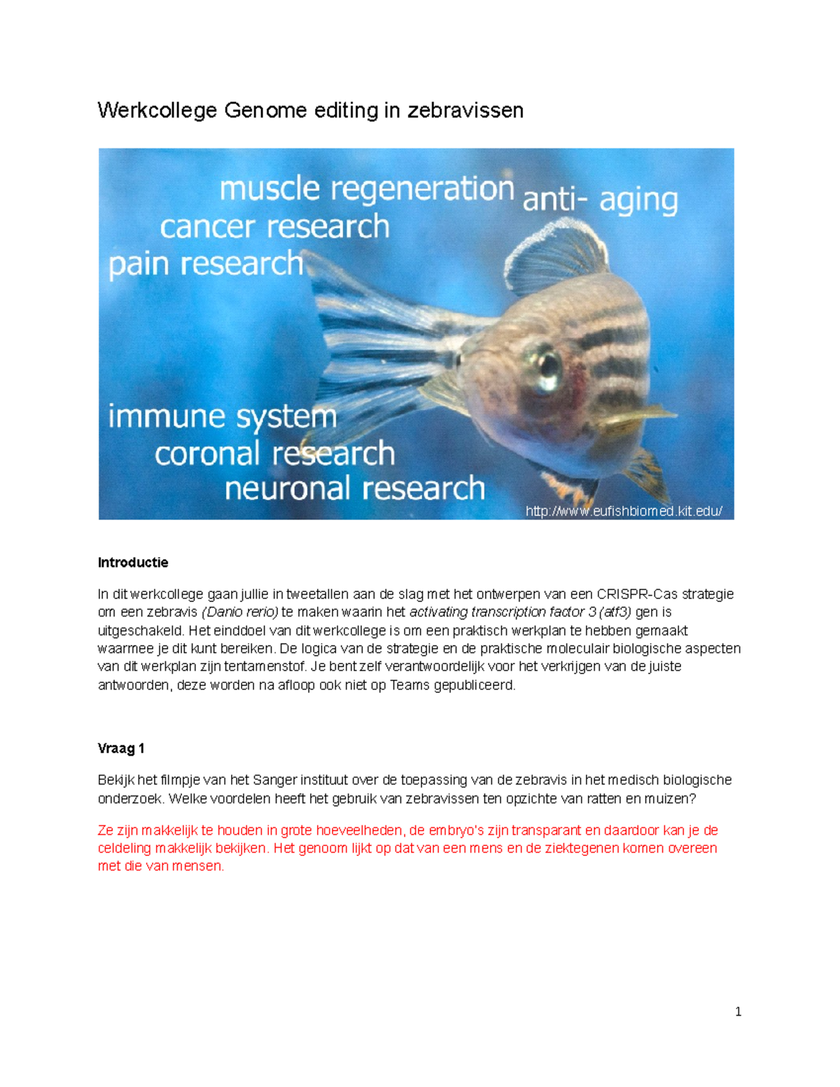 Werkcollege 1 B09GEN genome editing zebravis 22-23 - Werkcollege Genome ...