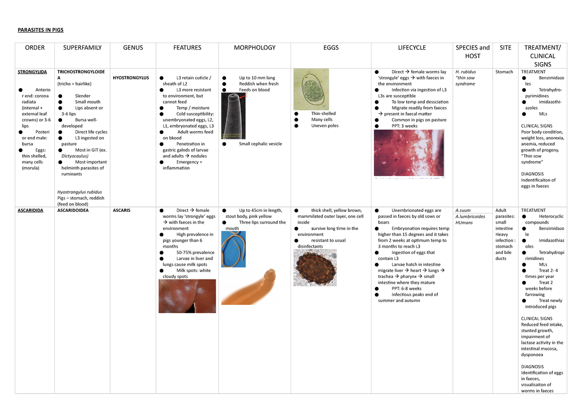 Parasitology Chart - Summary of all the assessable parasites ...