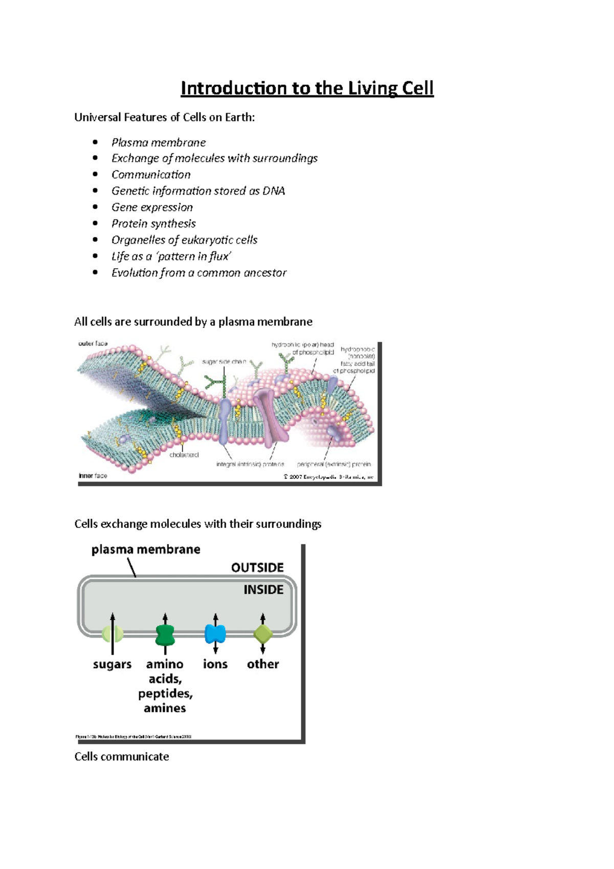 Introduction to living cells - Introduction to the Living Cell ...