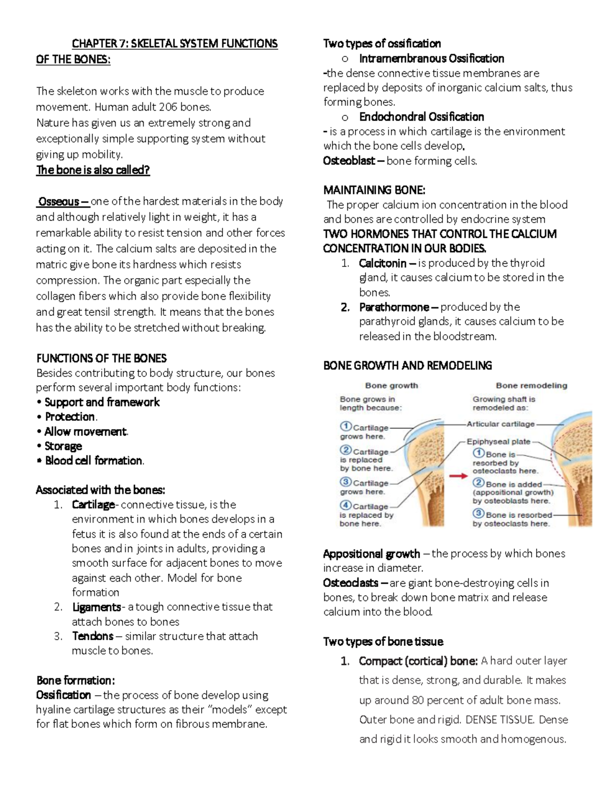 Midterms - Lecture notes 5-10 - CHAPTER 7: SKELETAL SYSTEM FUNCTIONS OF ...