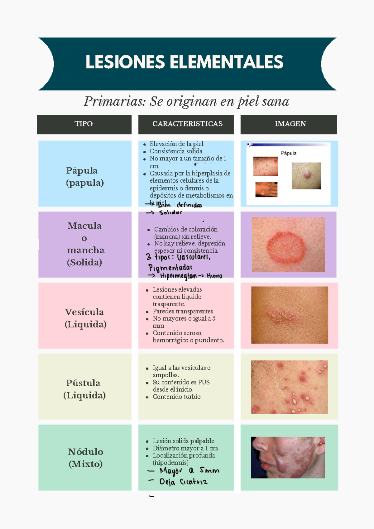 Lesiones elementales - LESIONES ELEMENTALES Primarias: Se originan en ...