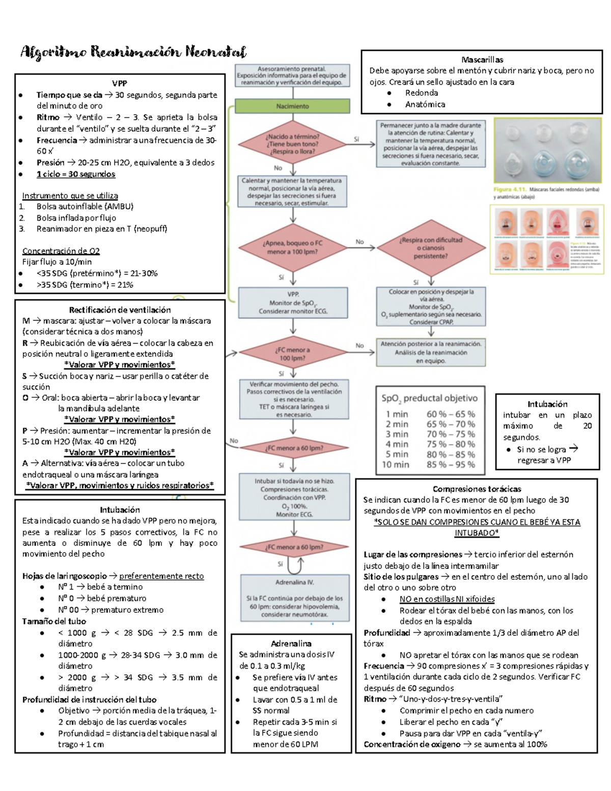 Tarea Reanimación neonatal - VPP Tiempo que se da → 30 segundos ...