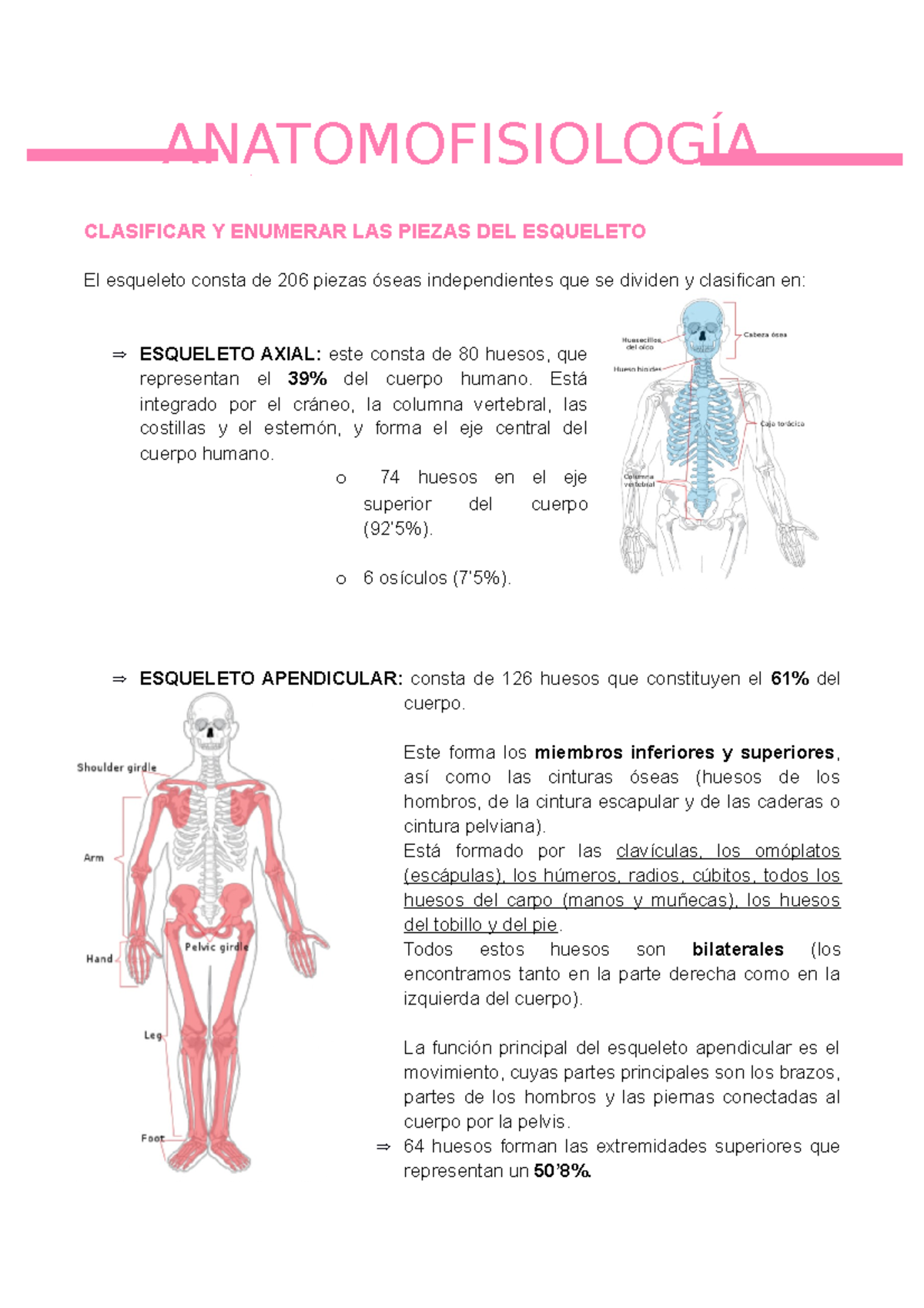 TEMA 2: División del esqueleto - ANATOMOFISIOLOGÍA ####### CLASIFICAR Y ...