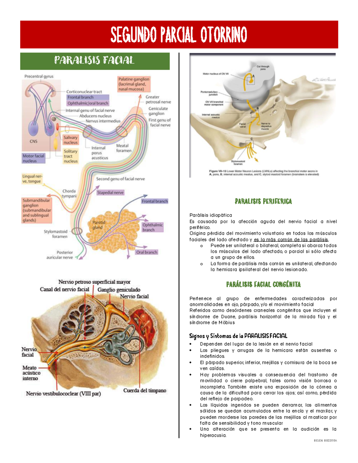 Segundo Parcial Otorrino - Warning: TT: undefined function: 32 SEGUNDO PARCIAL OTORRINO ...