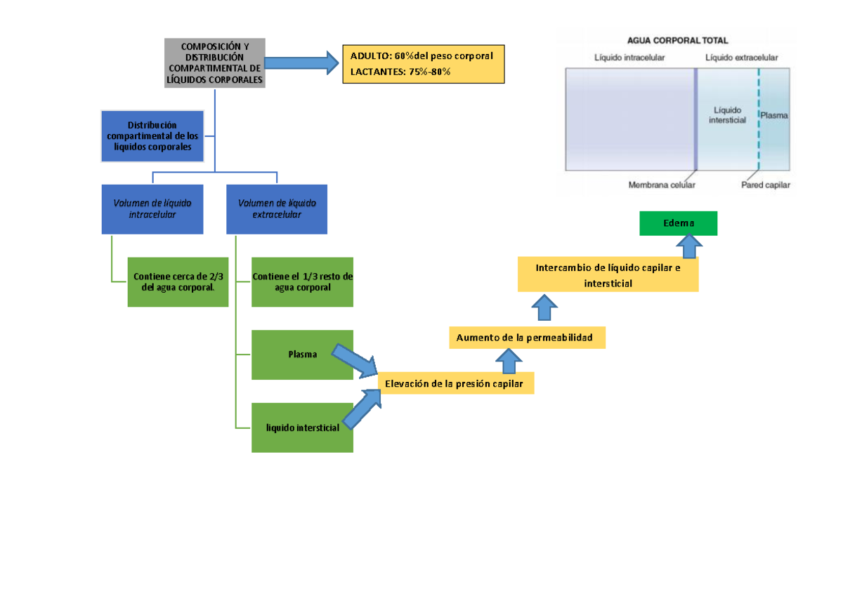 ácido base - Mapas conceptuales - Warning: TT: undefined function: 22 Warning: TT: undefined ...