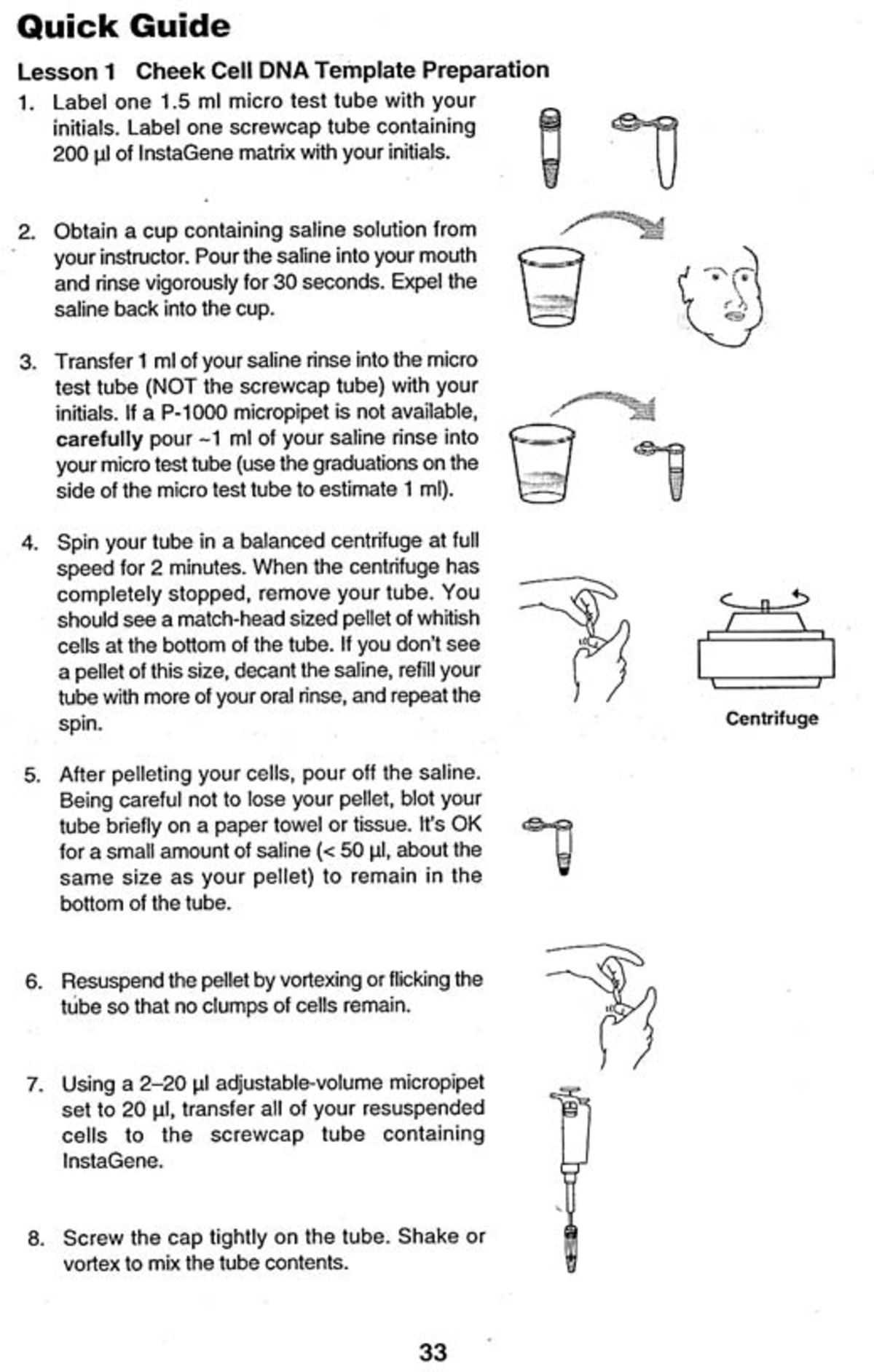 PCR lab-Quick Guide - CHEM 104 - Studocu