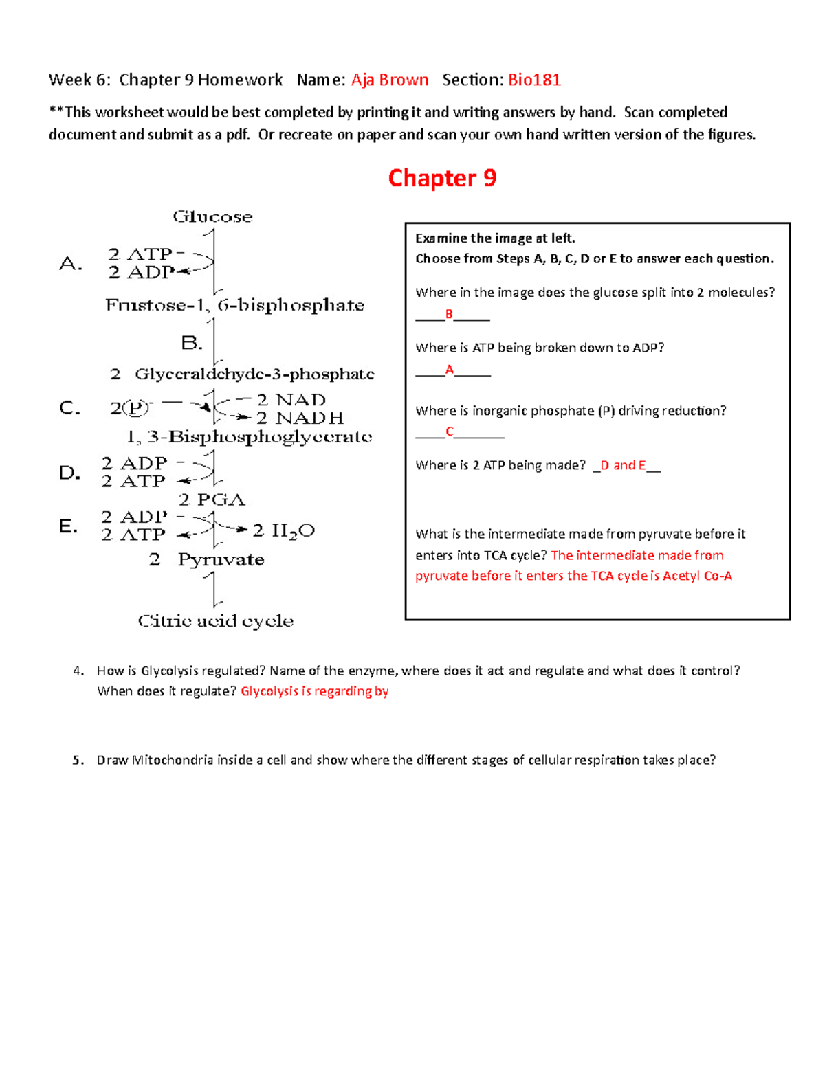 WEEK 6-HW- Chapter 9 - Gail Fransis - Week 6: Chapter 9 Homework Name ...