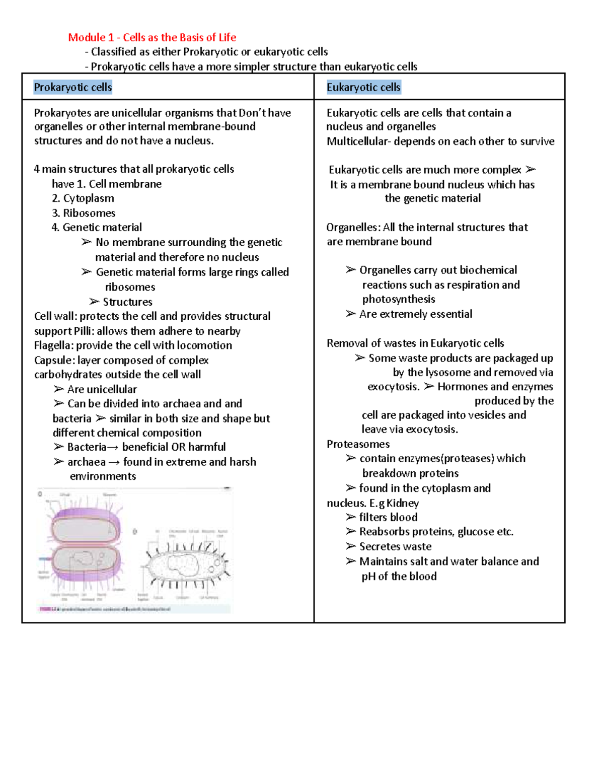 All Module Notes - Module 1 - Cells as the Basis of Life - Classified ...