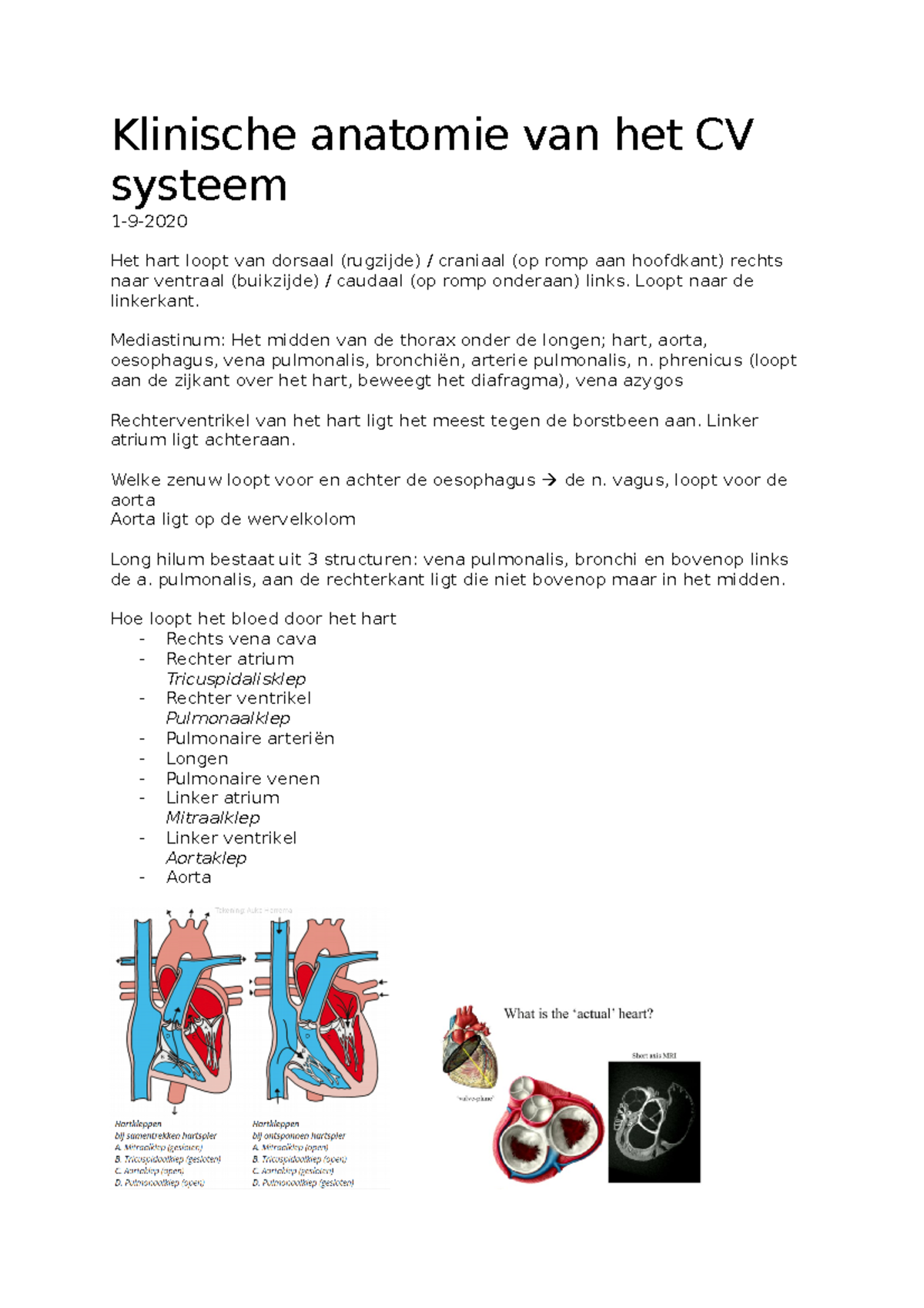 Klinische anatomie van het CV systeem - Klinische anatomie van het CV ...