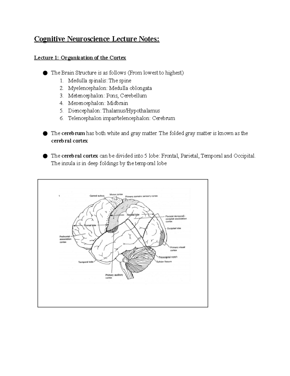Exam1 Cognitive Neuroscience Lecture Notes Cognitive Neuroscience Lecture Notes Lecture 1