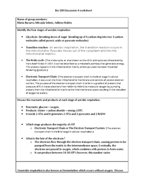 BIO 189 - CH. 6 Notes - Bio 189 – Chapter 6 Notes Mitochondria have ...