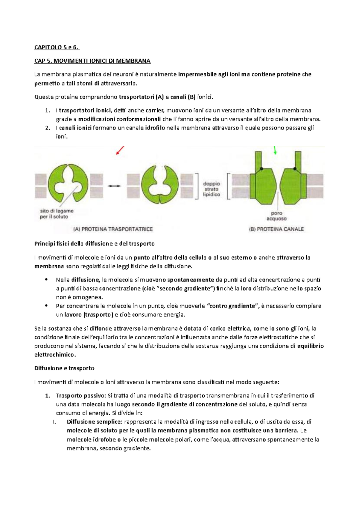 Capitolo 5 e 6 - Corso di Biologia, Arturo Bevilacqua. - CAPITOLO 5 e 6 ...