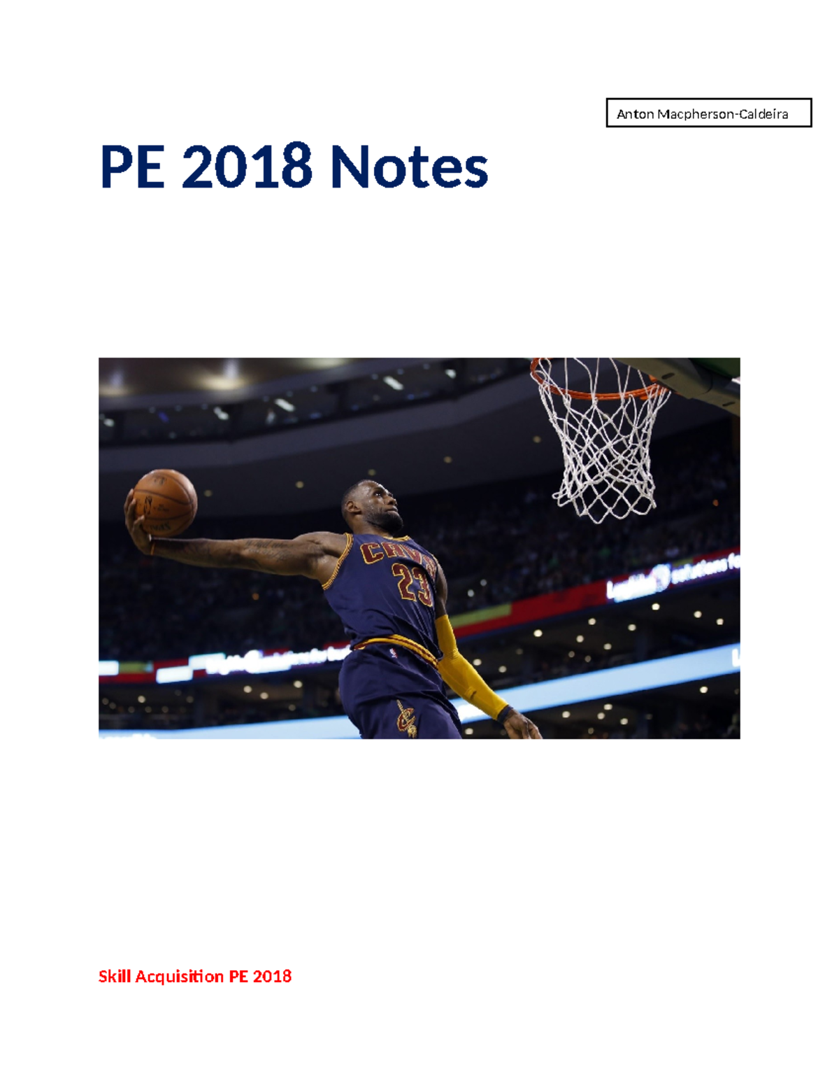pe notes for exam - PE 2018 Notes Skill Acquisition PE 2018 Anton ...