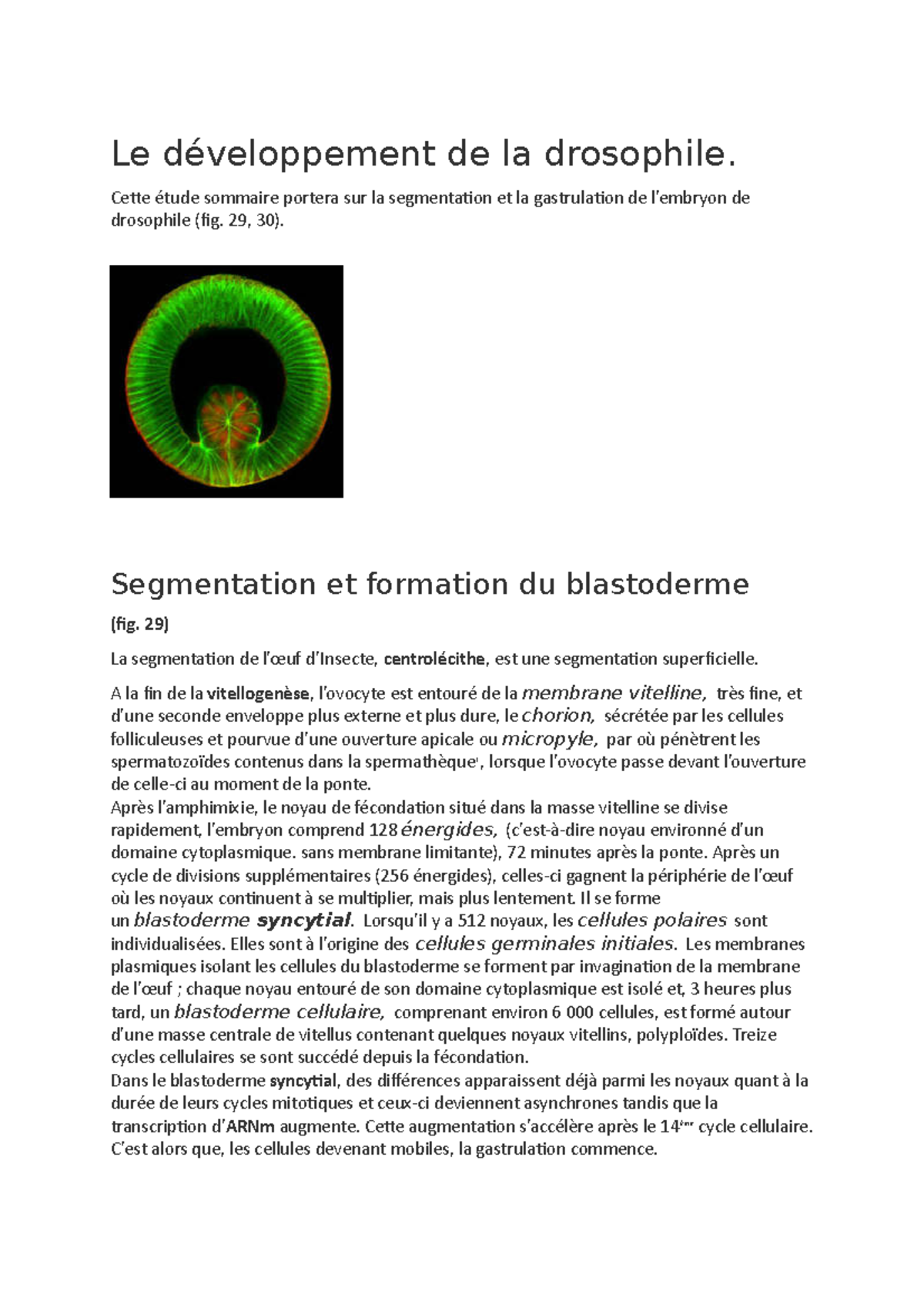 Revisions DVT Drosophile - Le développement de la drosophile. Cette ...