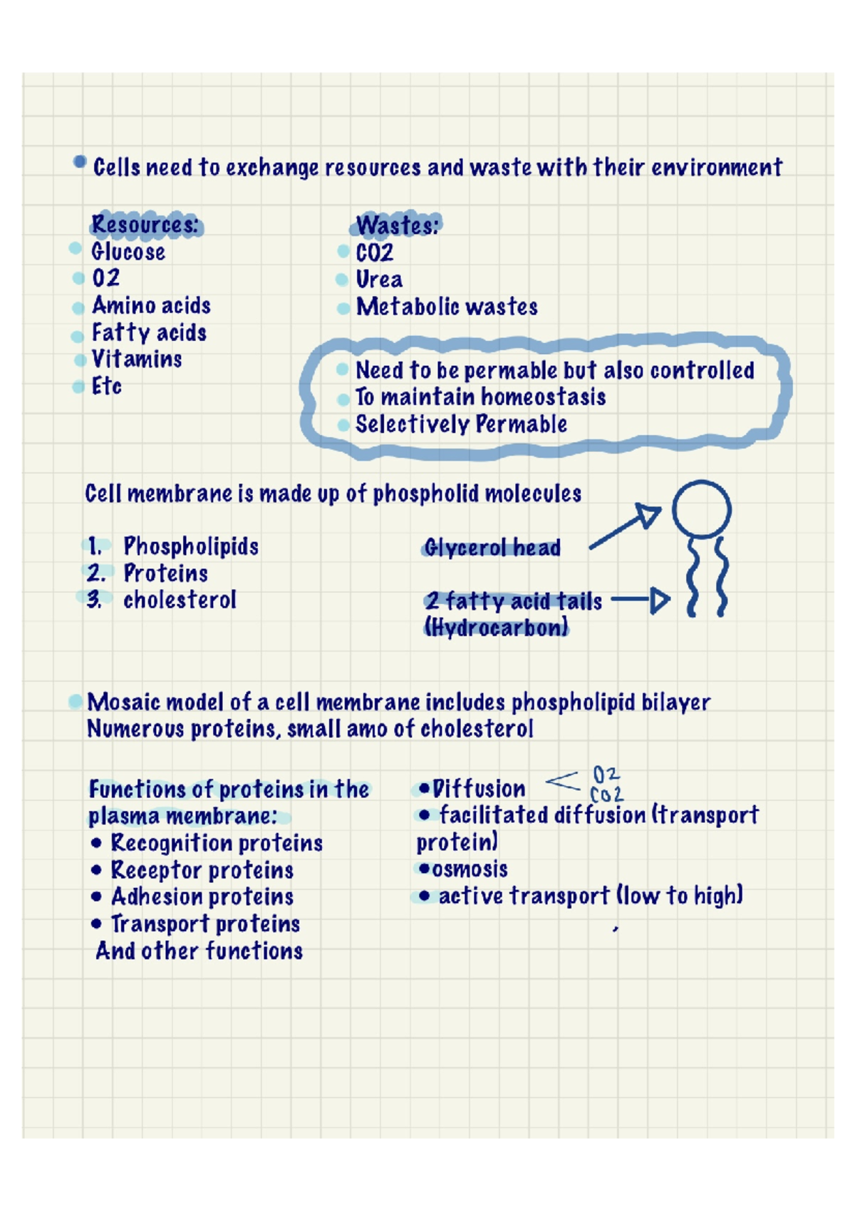 Cell structure lecture notes - 015 - Studocu Cell structure lecture notes - 015 - Studocu