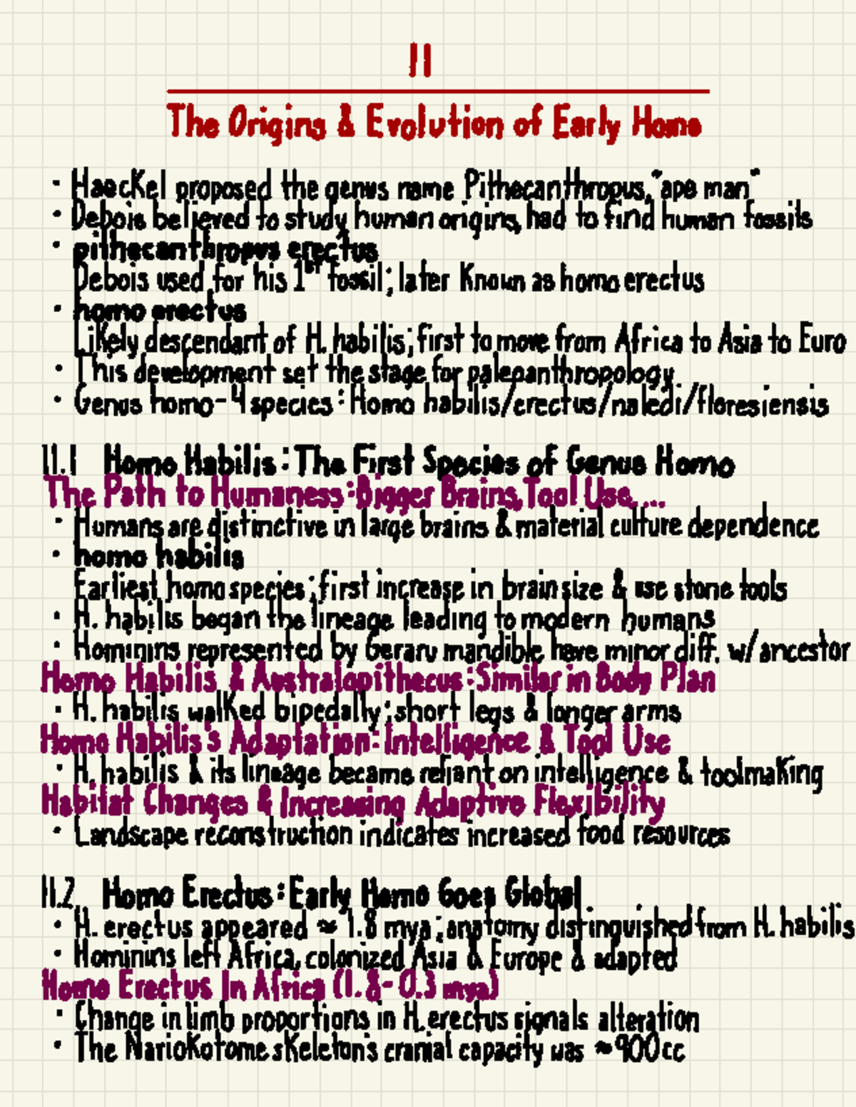 ANTH 102 11 - Overview of Chapter 11: The Origins - 11 The Origins ...