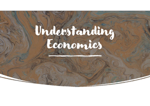 Science 10 Offline Qualitative Characteristics of Images - Science ...