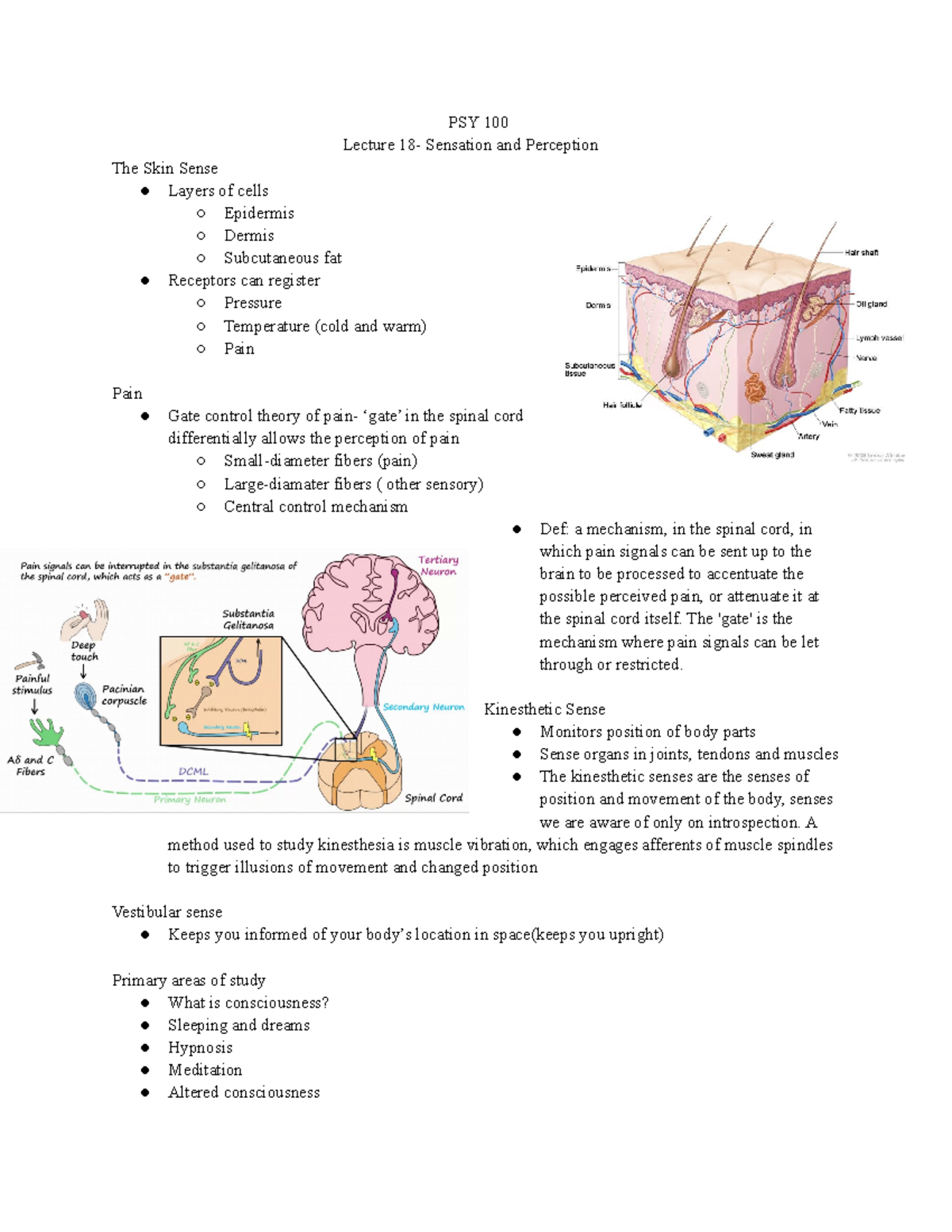 PSY 100 10 27 2022 - Fall 2022 - PSY 100 Lecture 18- Sensation and ...