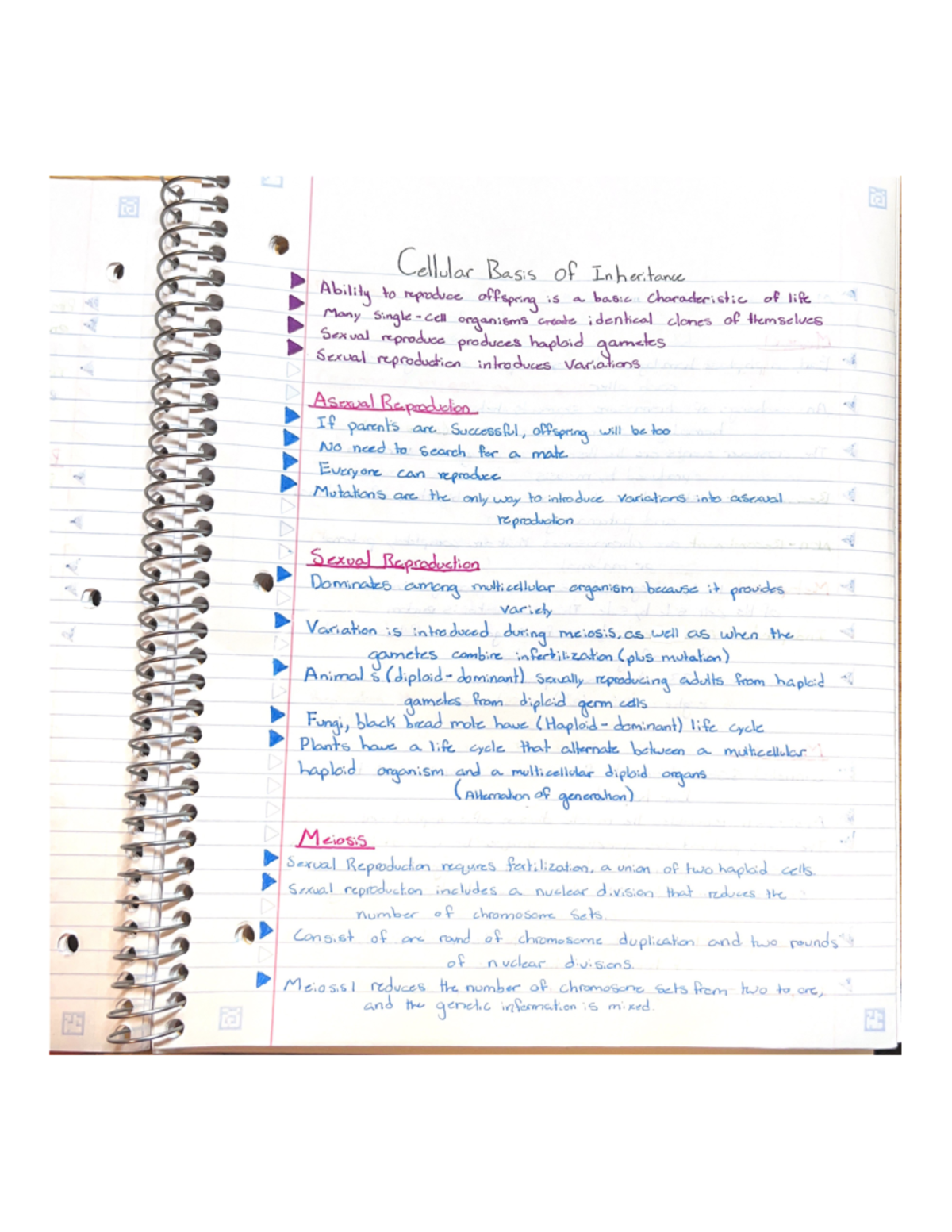 Cellular Basis of Inheritance - Thier orientation is random Independent ...