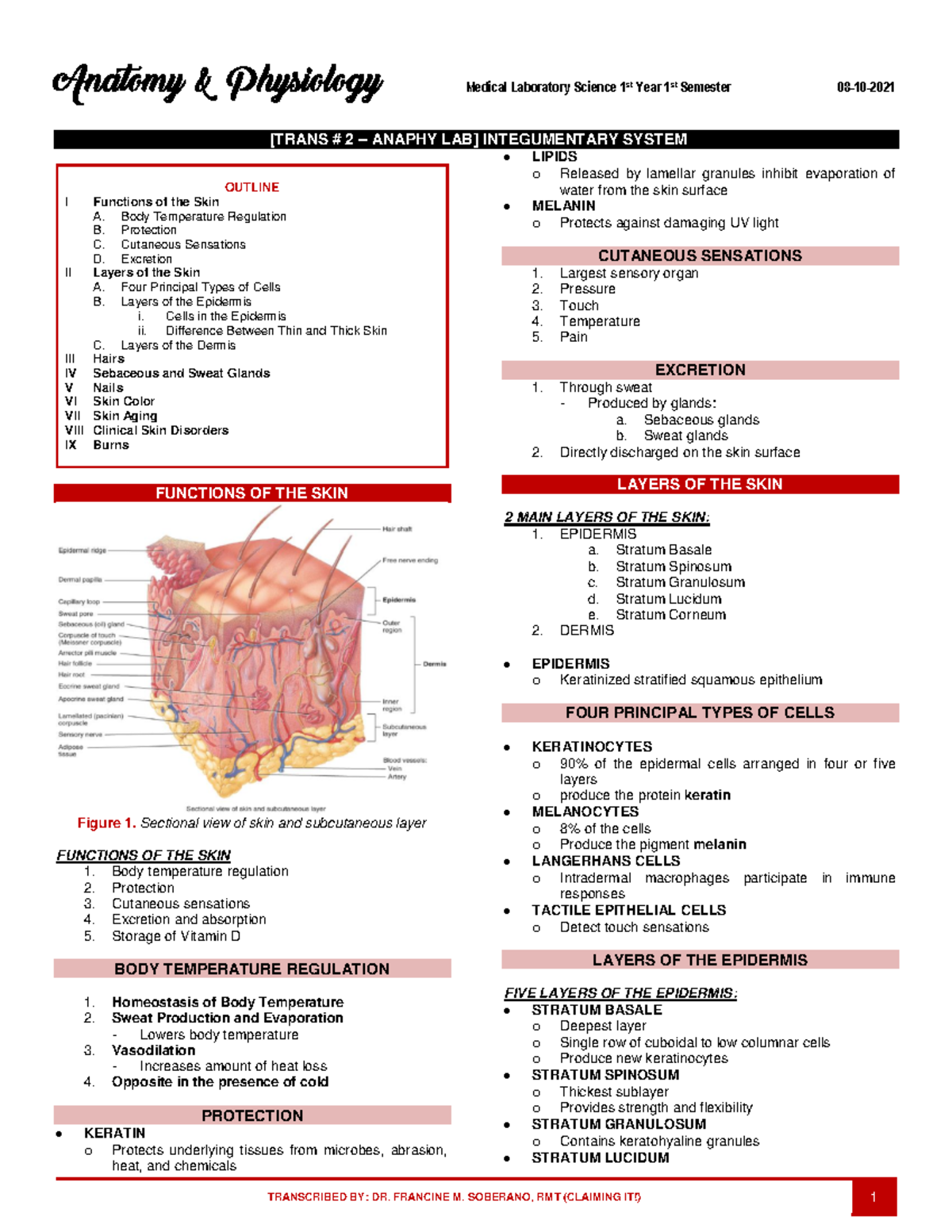 Anaphy LAB Trans 2 - yes - Anatomy & Physiology Medical Laboratory ...