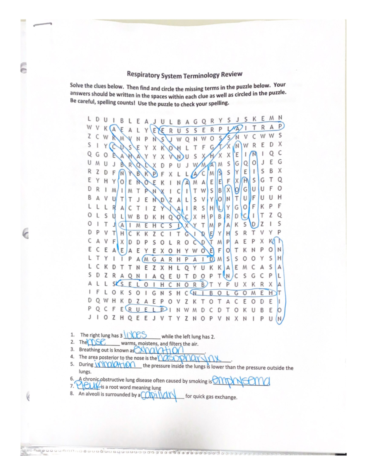 Respiratory System Terminology crossword puzzle - NUR 241 - Studocu