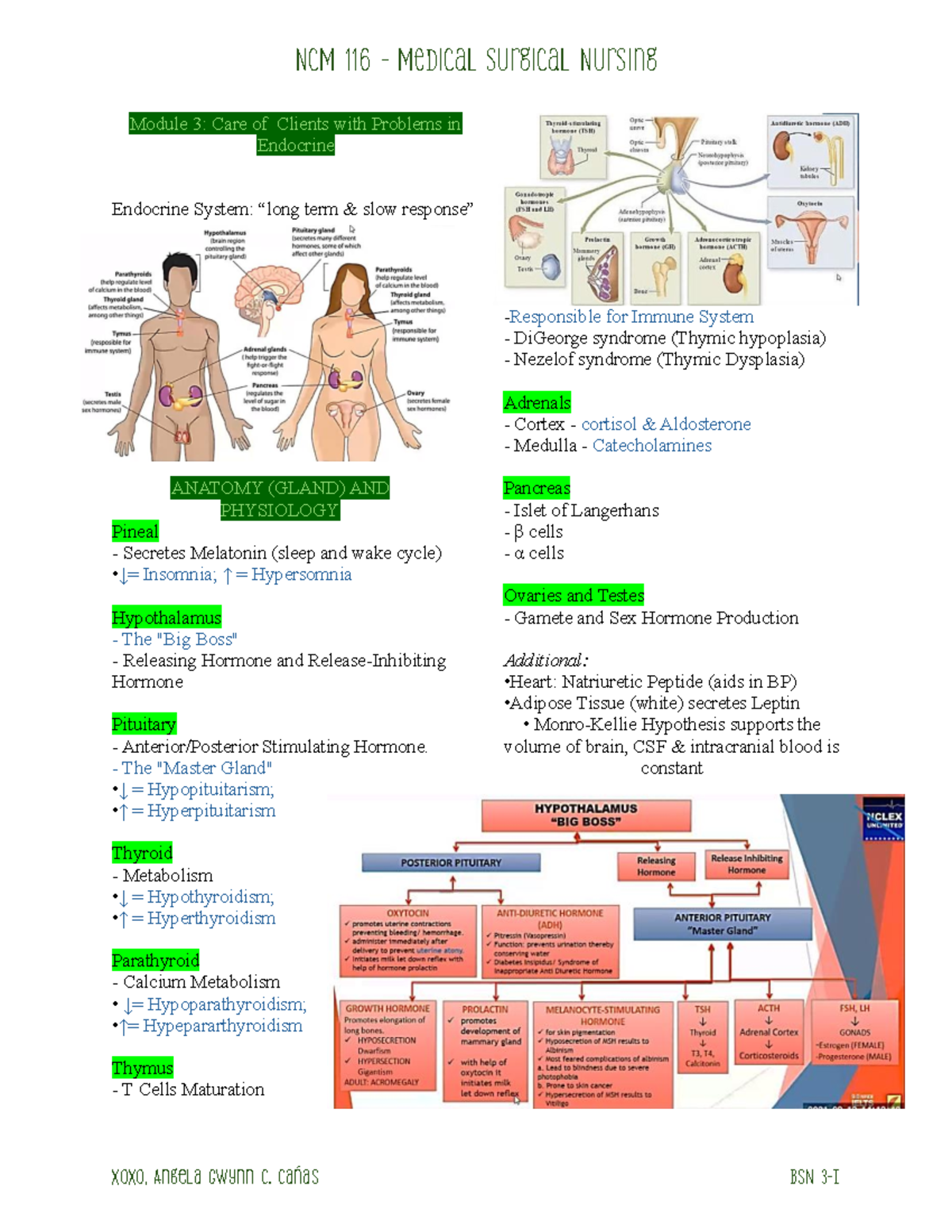 NCM 116 Module 3-Endocrine System - Module 3: Care of Clients with ...