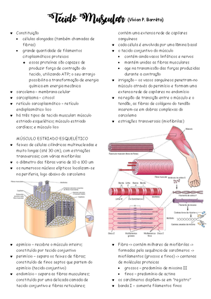 Histologia - TGI - Histologia O plexo de Meissner, também conhecido ...