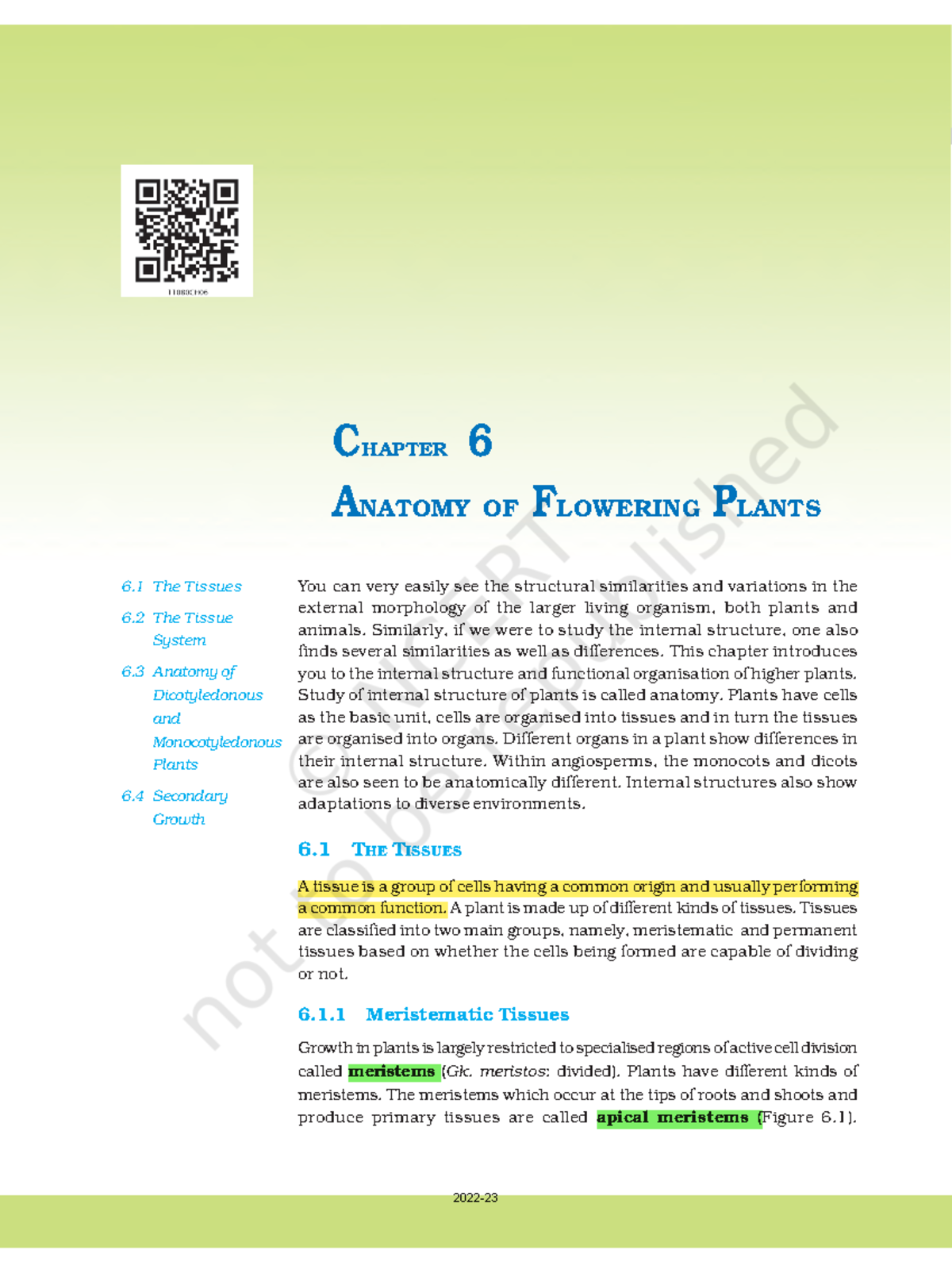 Anatomy Flowering Plant CH-6 - 84 BIOLOGY You can very easily see the ...