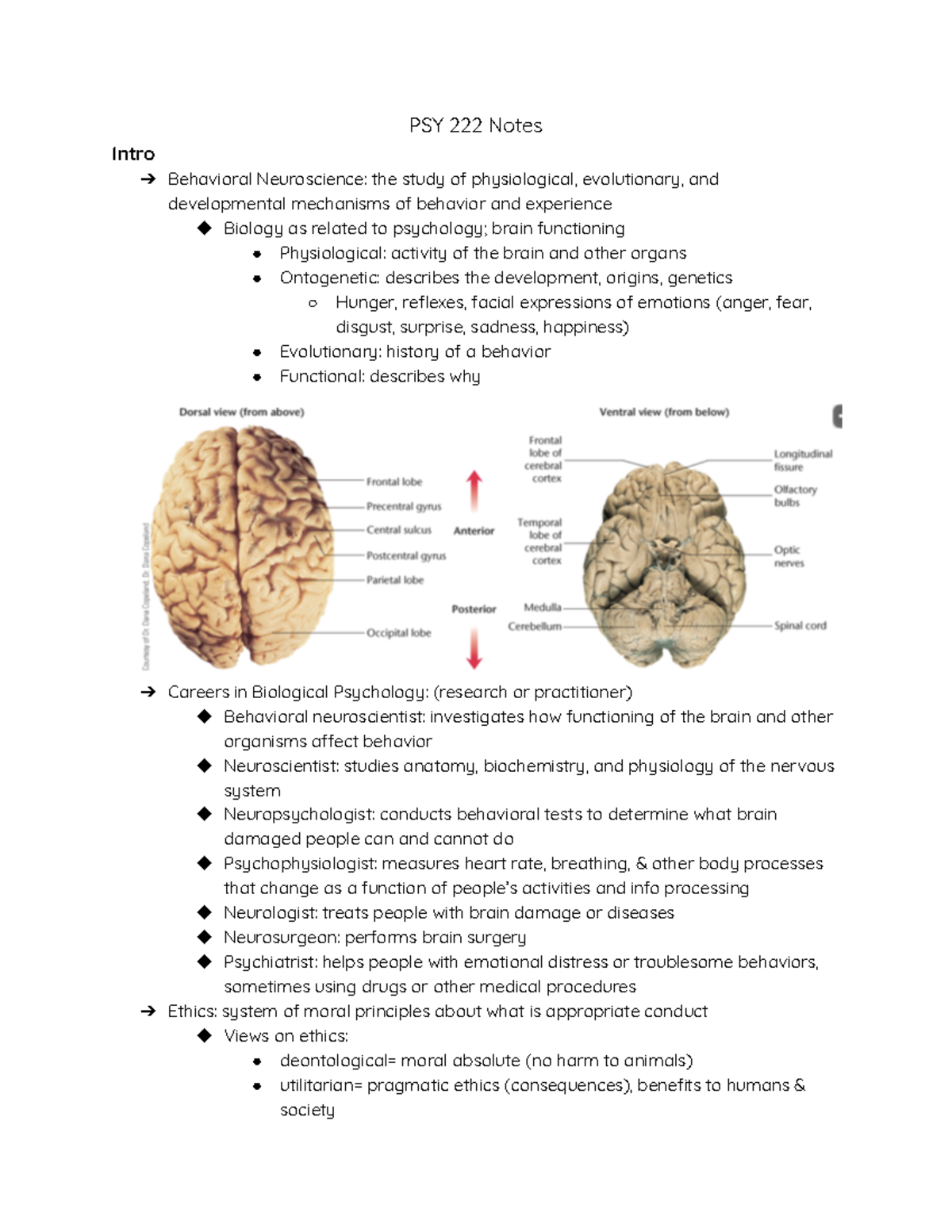 PSY 222 Notes pt1 - Professor: Corrinne C. Lim-Kessler PART 1 - Studocu