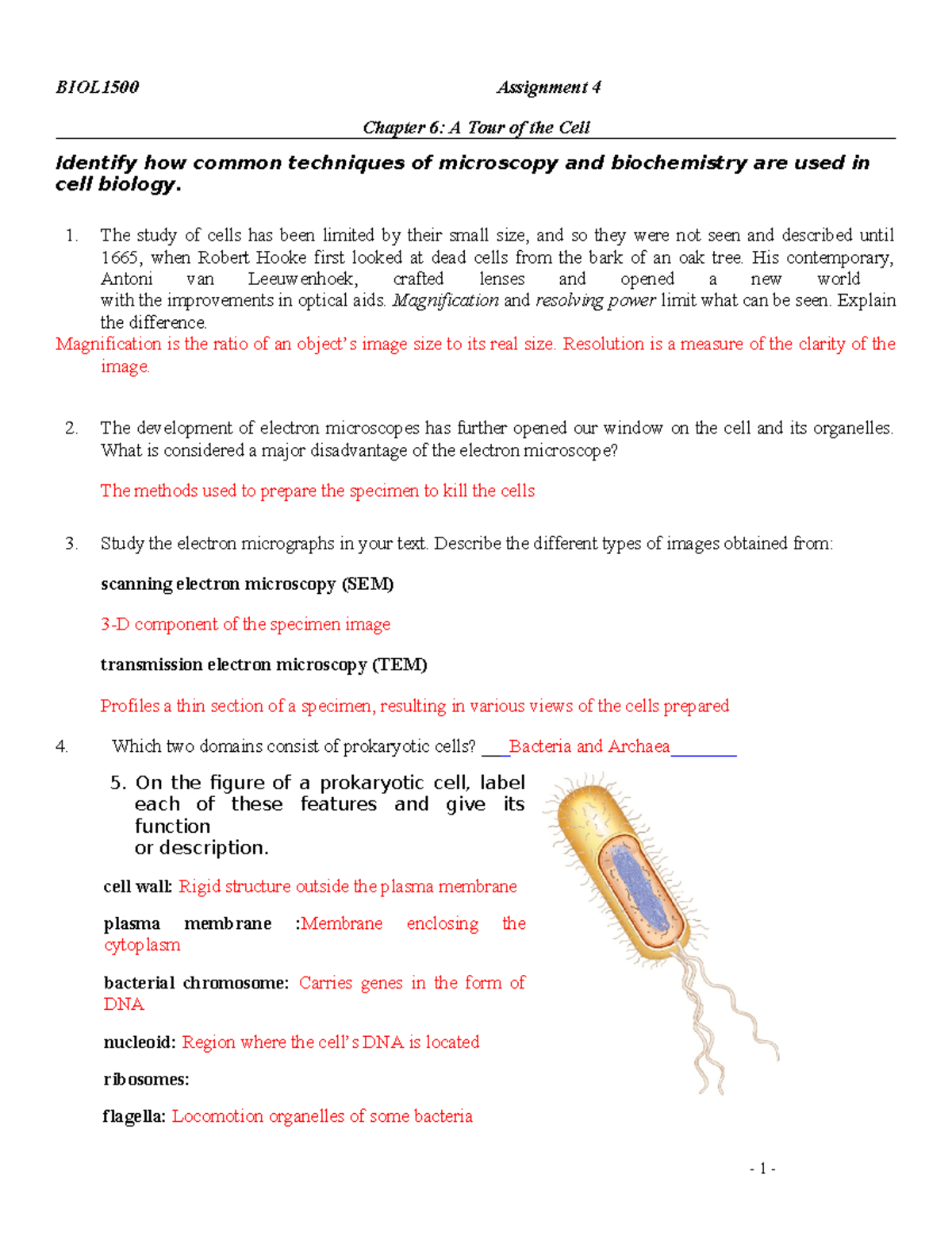 Chapter 6 Tour of the Cell- complete - BIOL1500 Assignment 4 Chapter 6 ...