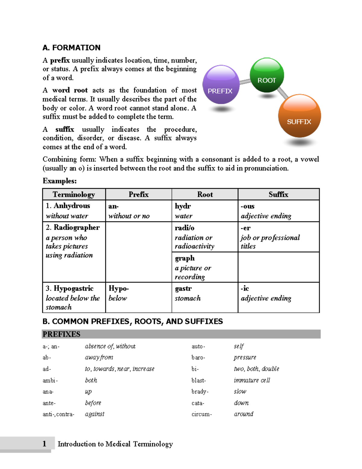 [Medical Terminology 1] - A. FORMATION A prefix usually indicates ...