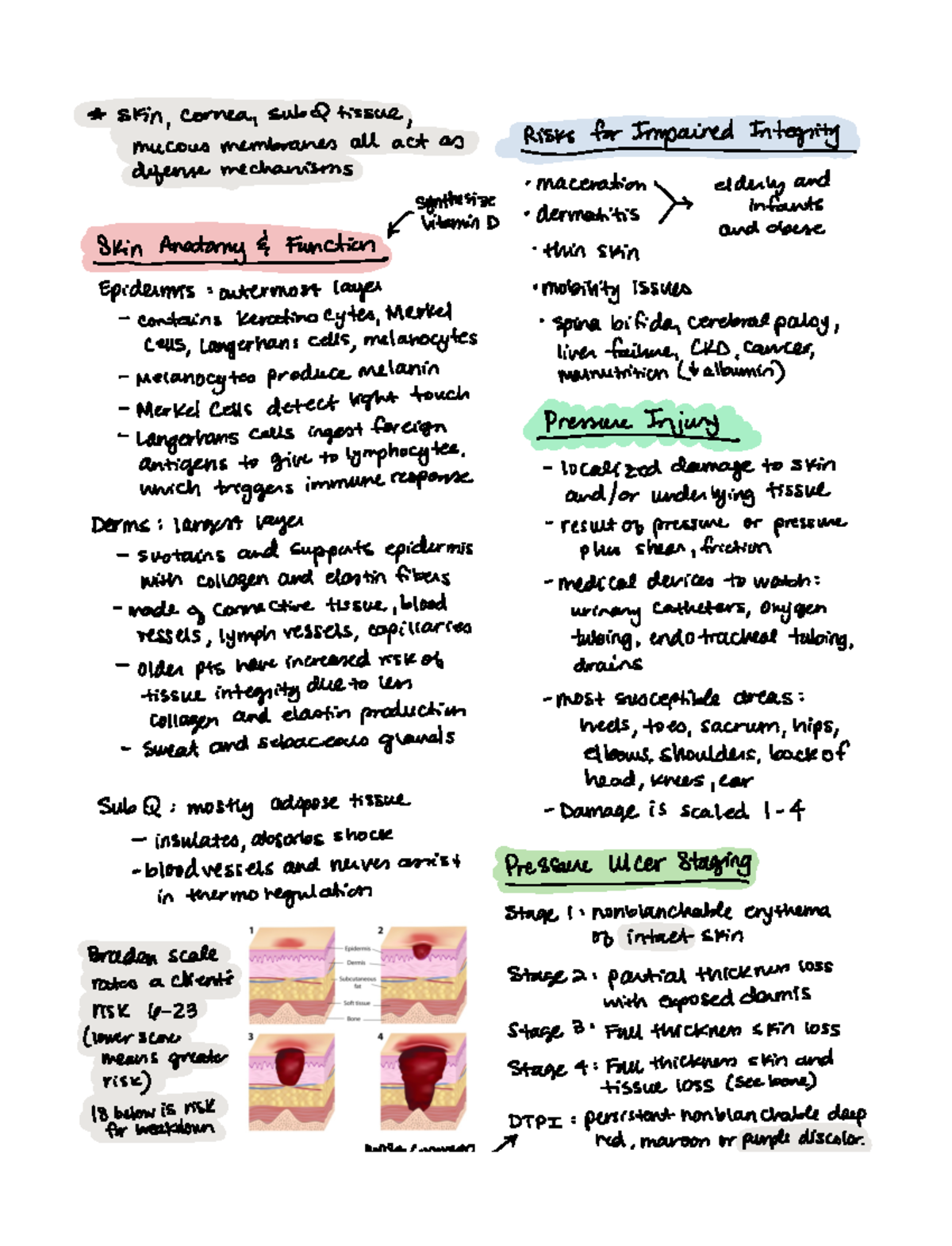Tissue integrity - Hardwick, Silavent, Tucker - Skin Cornea subQ tissue ...